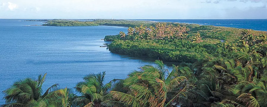 Tħobb in-natura? Dawwar iż-Żoni Naturali ta' Quintana Roo 8789_2