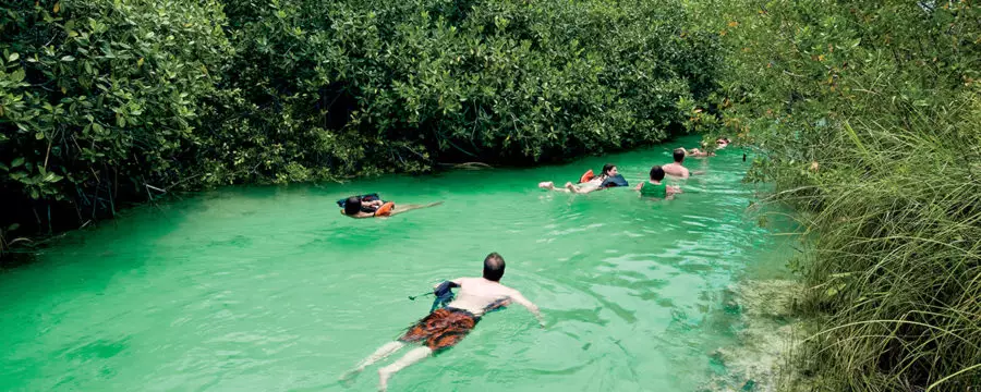 Tħobb in-natura? Dawwar iż-Żoni Naturali ta' Quintana Roo 8789_4