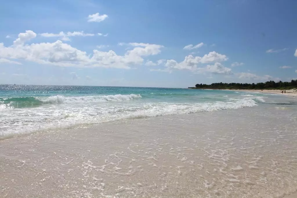 ชายหาดของ Cancun ปลอดจาก sargassum สิ้นปีนี้ 8856_4