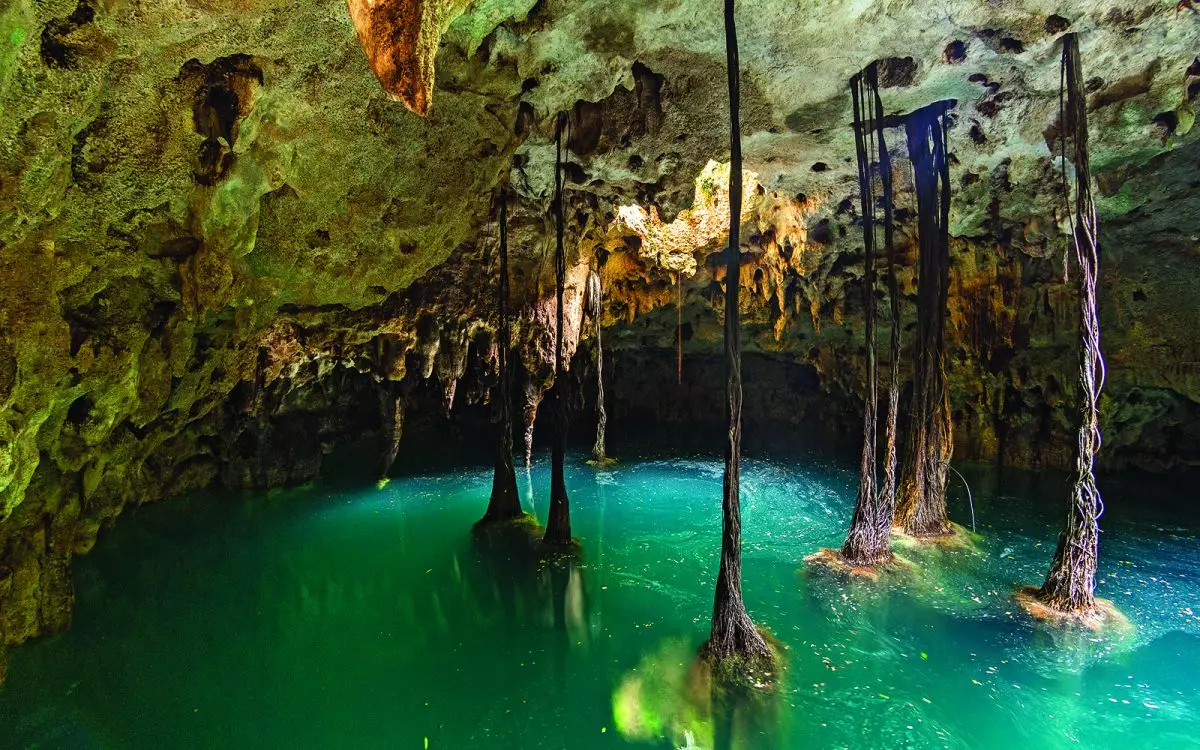 Nadar nos cenotes de Quintana Roo, a mellor experiencia de aventura 2019 8862_2