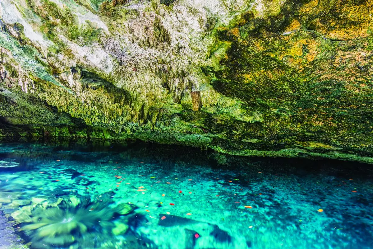 Nadar nos cenotes de Quintana Roo, a mellor experiencia de aventura 2019 8862_3