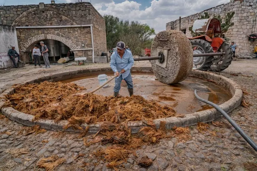 Mezcal Route u San Luis Potosí 8909_7