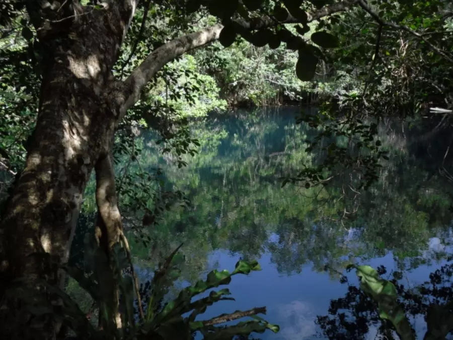 Cenote Angelita