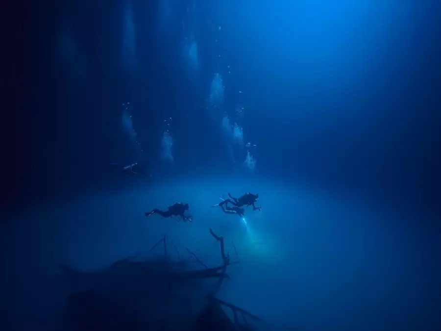 Cenote Angelita : La forêt submergée entre 2 rivières 8929_8