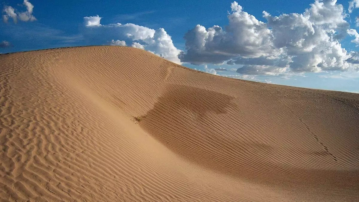 Samalayuca dunes