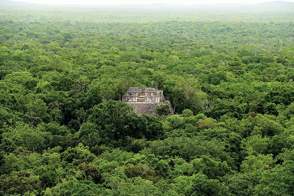 Calakmul at ang Fauna nito: natural na paraiso 8985_2