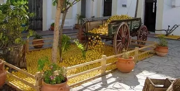 Reapertura do Museo Estatal de Culturas Populares fifu