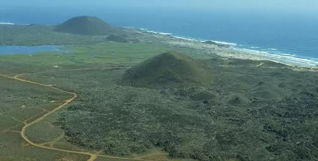 San Quintin Bay fifu