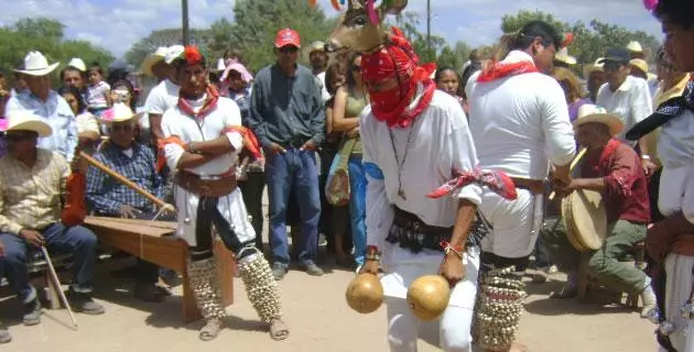 Pascola: il vecchio della festa, Sinaloa fifu