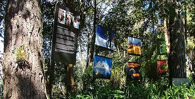 Njem n'ime oke osimiri, Deserts, Jungles na ugwu Mexico