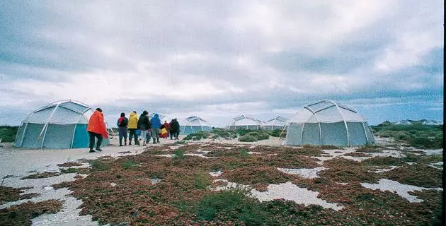 Vizcaino'dan Punta Abreojos'a Güzergah