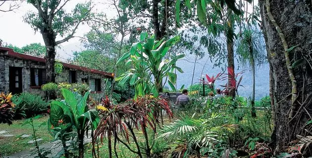 ইকোভিয়াজেস: ফিফু অ্যাডভেঞ্চার চালিয়ে যাওয়ার জন্য 3টি গন্তব্য