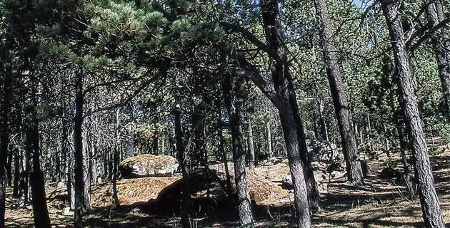 La Michilía Biosphere Reserve i Durango fifu